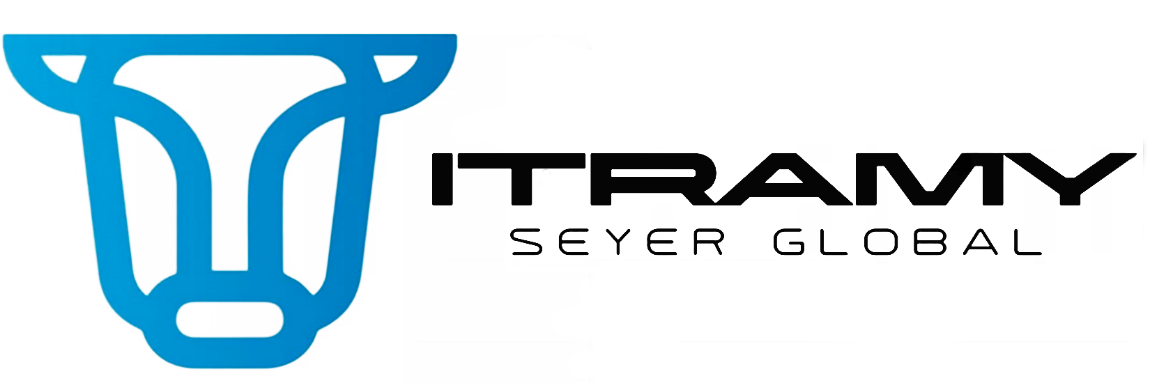 Itramy Seyer Global